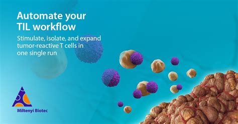Miltenyi Biotec On Linkedin Clinical Grade Tumor Reactive T Cell