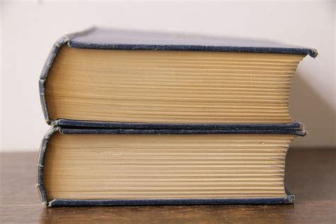 アンティーク雑貨 英国アンティーク Charles Dickensチャールズ・ディケンズ 洋書本、英字本、小説2冊セット3