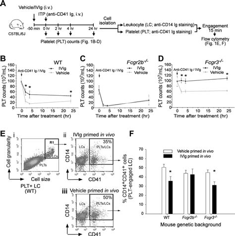 Ivig Ameliorated Itp Associated With Ameliorated Platelet Leukocyte Download Scientific Diagram