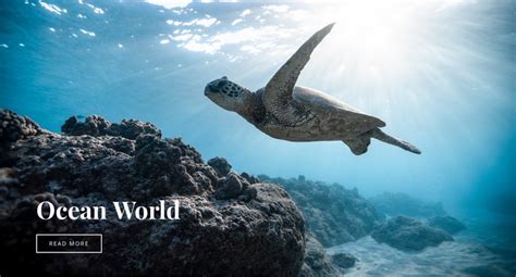 Underwater Ocean World Website Template By Nicepage