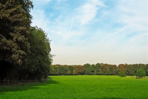 Fotos gratis paisaje árbol naturaleza bosque césped cerca nube