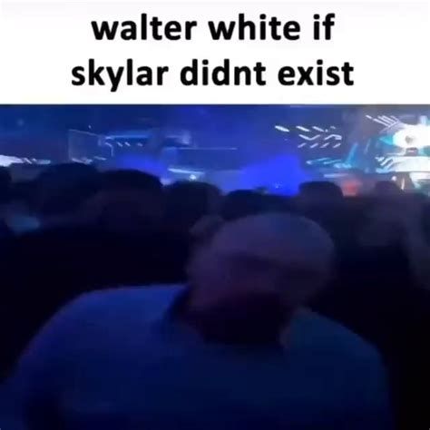 Walter White If Skylar Didnt Exist Ifunny