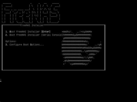 Setting Tunables At Time Of Install Truenas Community