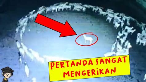 Lebih MENGERIKAN Dari Yang Kalian Duga BEGINI PENJELASAN KENAPA PARA