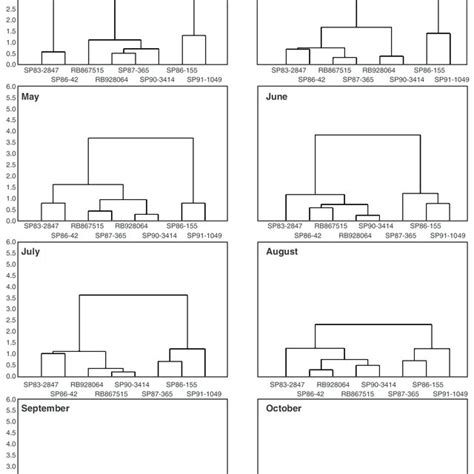 dendrograms obtained from clustering analysis using the hierarchical