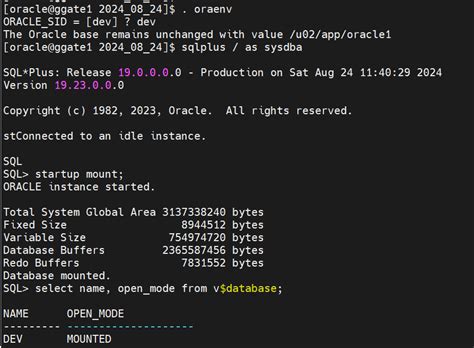Lakshmis Oracle Dba Blog Rman Restoration To New Server With Same