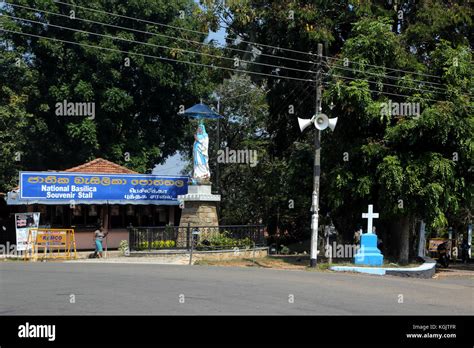 Basilika Unserer Lieben Frau Von Lanka Tewatte Ragama Sri Lanka