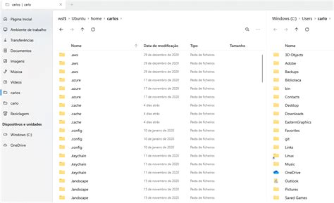 Wsl2 Shows Duplicate Folders And Files · Issue 2943 · Files Community