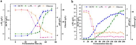 Kinetics Of Batch Fermentation A And Fed Batch Fermentation B Using Download Scientific