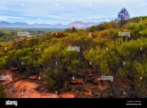 Inside Bowl Of Wilpena Pound Rock Formation In Flinders Ranges Of South