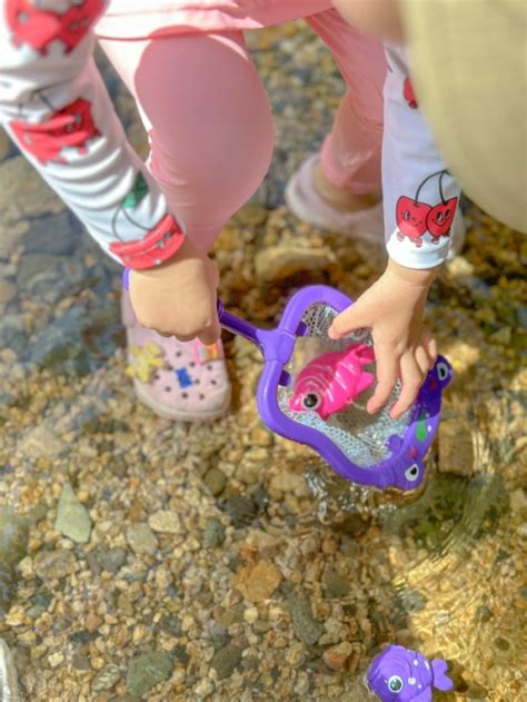 네이버 인플루언서