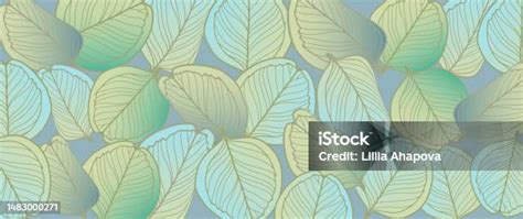 유칼립투스 잎이 있는 섬세한 녹색 벡터 배경 텍스트 사진 표지 배경 화면 및 프리젠 테이션 엽서의 배경 0명에 대한 스톡 벡터 아트 및 기타 이미지 Istock