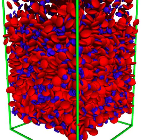 Evolutionary Robotics Robotics