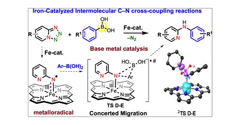 Iron Catalyzed Intermolecular Cn Cross Coupling Reactions Via Radical