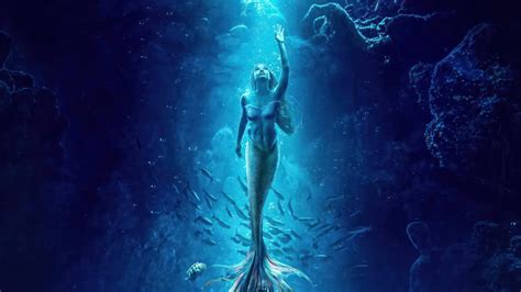 La Sirenita The Little Mermaid Sinfronterasymas
