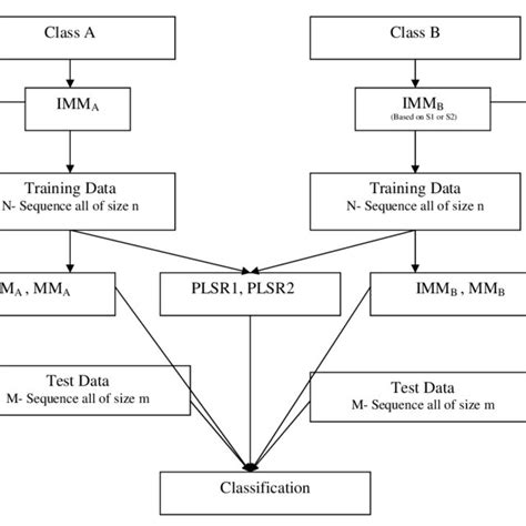 1 Flow Chart Summarizing The Simulation Download Scientific Diagram