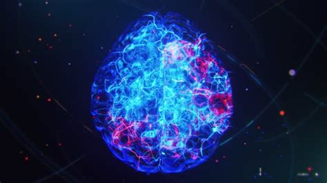 203 Plexus Anatomy Stock Videos Footage And 4k Video Clips Getty Images