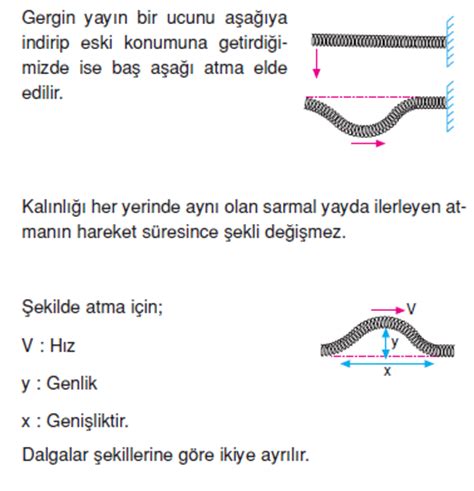 Yay Dalgaları Bilgicik