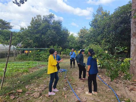 รายงานความกาวหนาโครงการเขตภาคตะวนออกเฉยงเหนอ โครงการพฒนาทดน