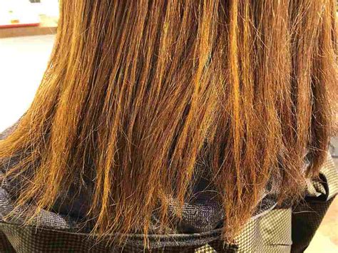 傷みで毛先がチリチリになった髪を切らずに治す方法。治せる髪・治せない髪はどう違う？ 美テラシー