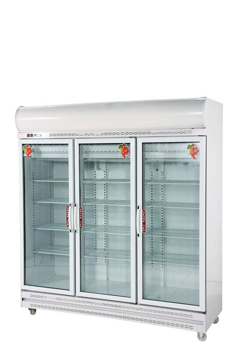 3 Door Display Chiller Vchoose