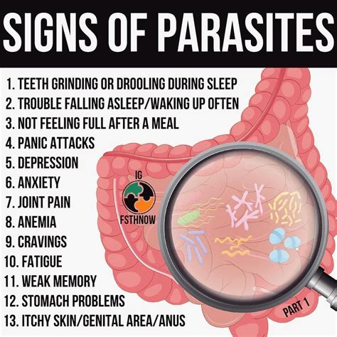 📗if You Are In Need Of Detailed Guide How To Get Rid Of All Parasites
