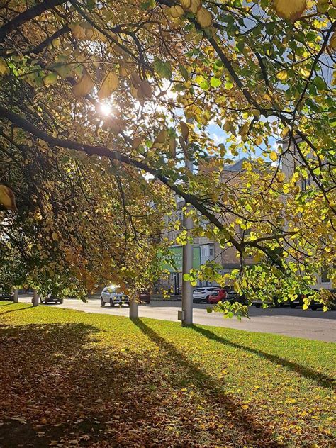 Осінь у Полтаві ФОТО Коло новини Полтави