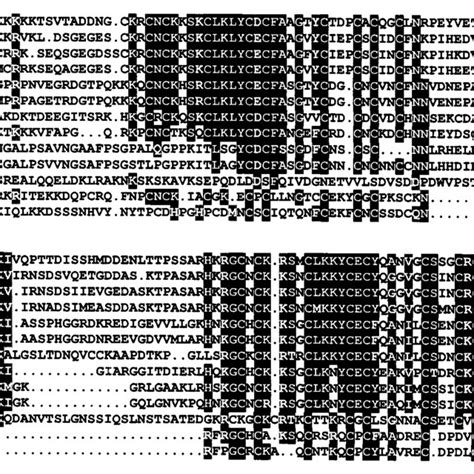 PDF CPP1 A DNA Binding Protein Involved In The Expression Of A