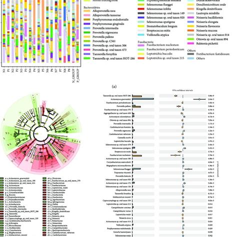 The Taxonomic Profiling Of The Oral Microbiome Samples From Lung Cancer
