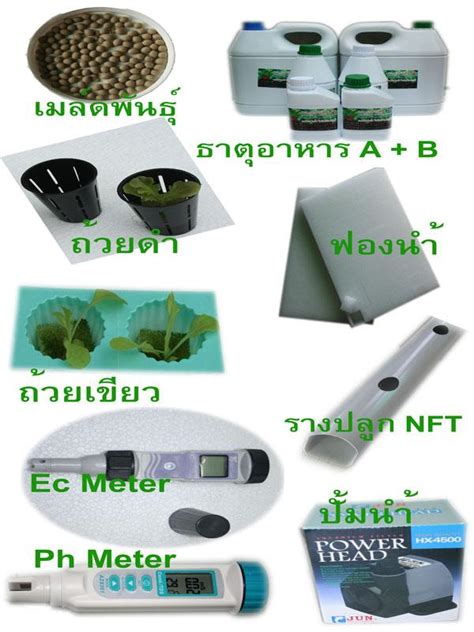 My Hydroponics จำหน่ายและติดตั้งอุปกรณ์ปลูกผักไร้ดินไฮโดรโปนิกส์