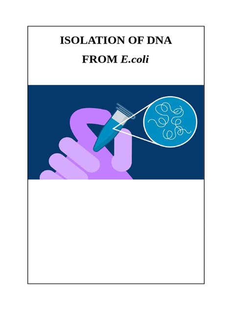 Bio Project Isolation Of Dna From E Coli Pdf Proteins