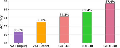 Global Local Regularization Via Distributional Robustness