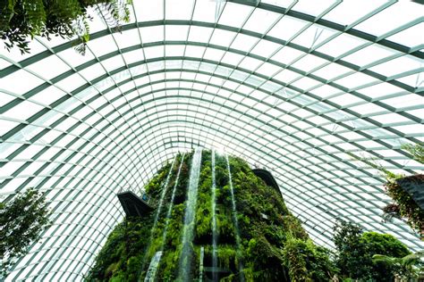 Arquitectura Orgánica Qué es Explicación y Ejemplos