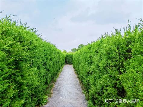 盐城遛娃好去处丨梦幻迷宫世界吉尼斯NO1 知乎