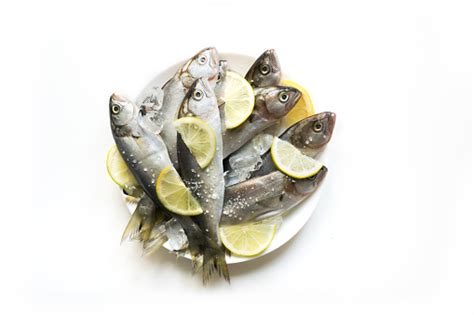 검은 바다 블루 피쉬 화이트 텍스트에 대 한 공간을 가진 물고기 패턴입니다 위에서 보기 0명에 대한 스톡 사진 및 기타 이미지