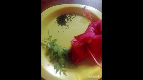 Homemade Magical Hair Oil Youtube