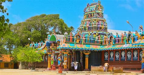 අක්ෂරය තල් අරණේ සුන්දර ලෝකය