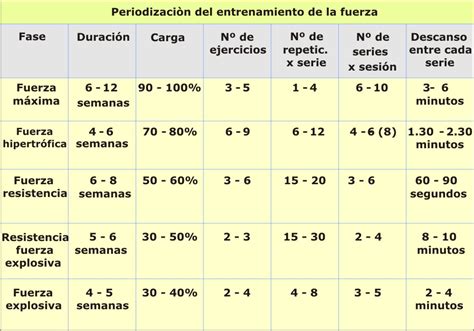 Musculación y Salud El Arte de Entrenar y Alimentarse Bien
