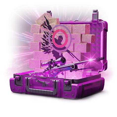 Graffiti Cache Case CS GO Best CS Cases With A Skins