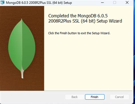 Install And Setup MongoDB On Windows Or Mac