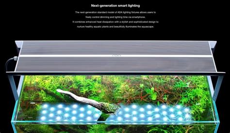 Best High End Aquarium Lights For Vibrant Tanks 2025 The Fish Tank