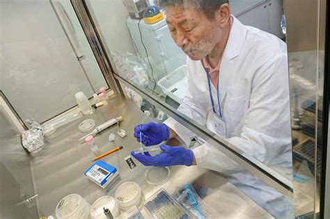 いつでも青春キャンパス細菌などの培養に取り組んでいます 秋田県立大学