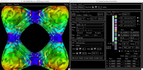 121 Self Guided Demo Scripts — Afni Suma And Fatcat V25207