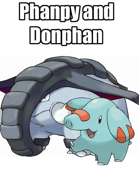 Lets Talk About Pokemon — Lets Talk About Pokemon Phanpy And Donphan