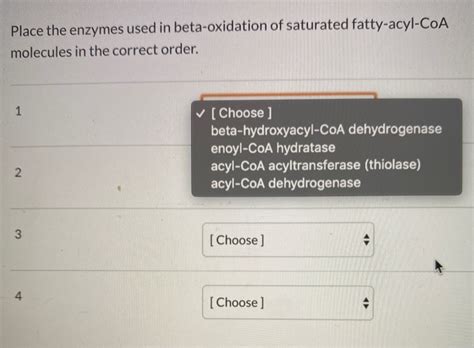Solved Place The Enzymes Used In Beta Oxidation Of Saturated Chegg
