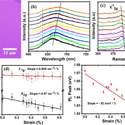 Raman And Pl Spectra Under Strain Over Pdms A Pl Spectra Of 1l Mos 2