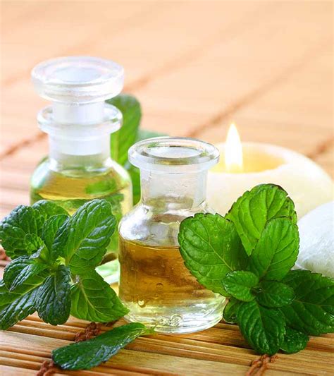 20 Health Benefits Of Peppermint Nutrition And Side Effects