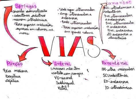Resumo sobre vias punção enteral parenteral cores de agulha