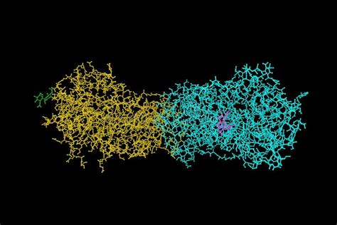 Molecular Model Of Human Antithrombin Iii Rendering With Differently