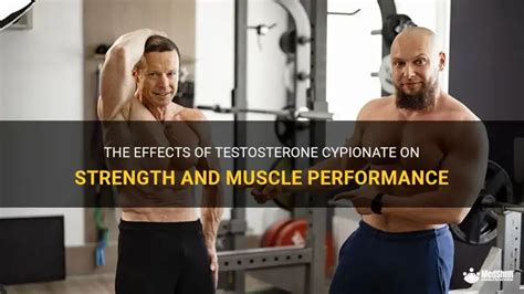 The Effects Of Testosterone Cypionate On Strength And Muscle Performance Medshun